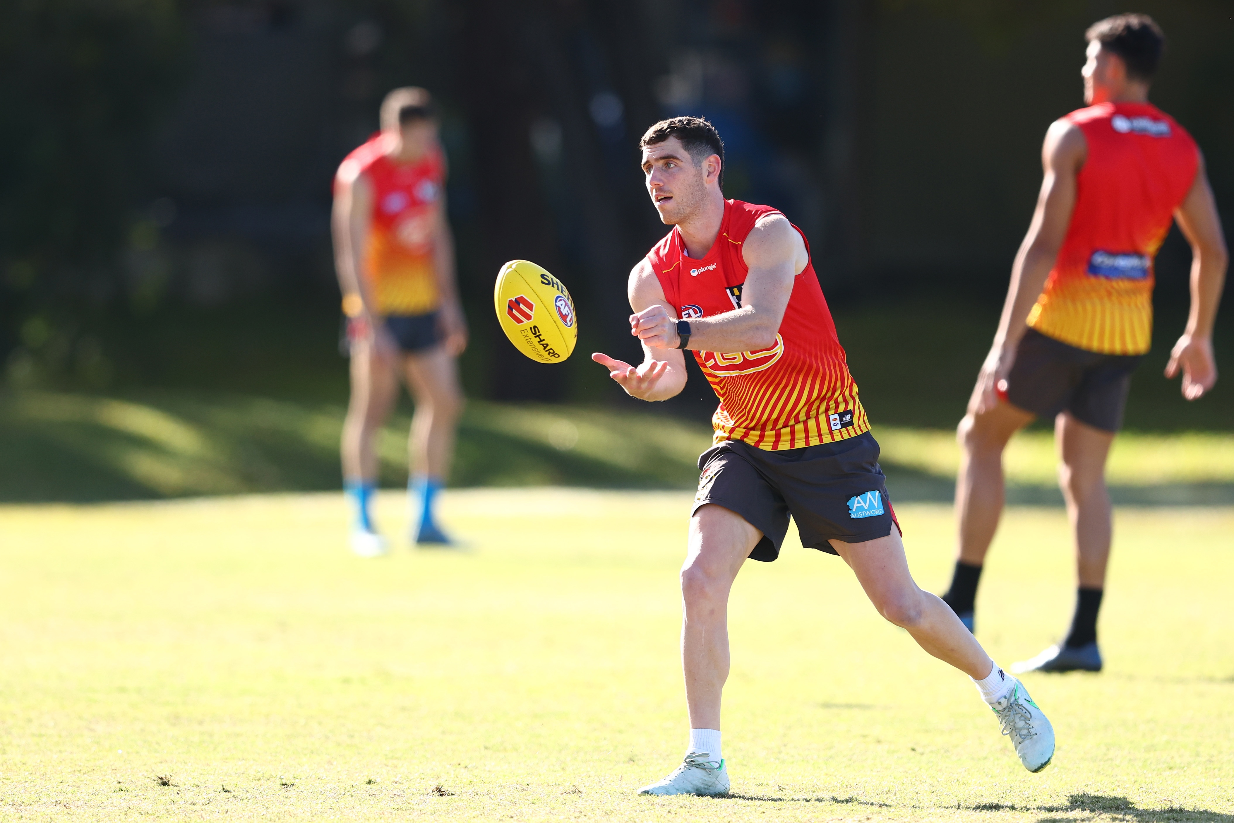 VFL Team Announcement: Round 19