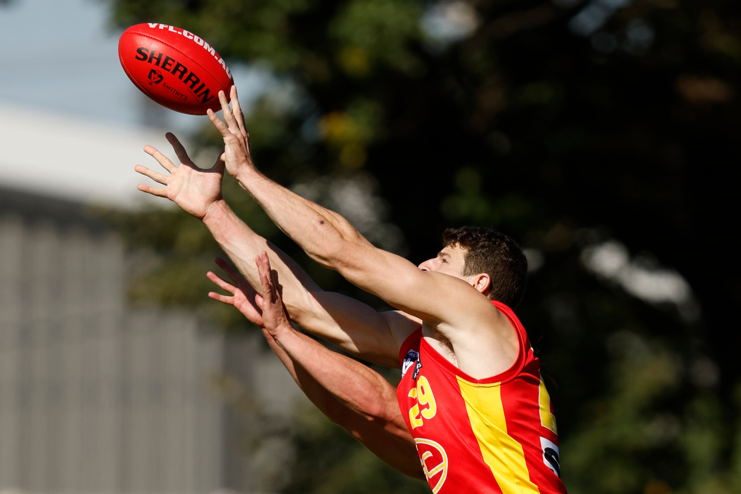 Match report: SUNS climb to top of VFL ladder