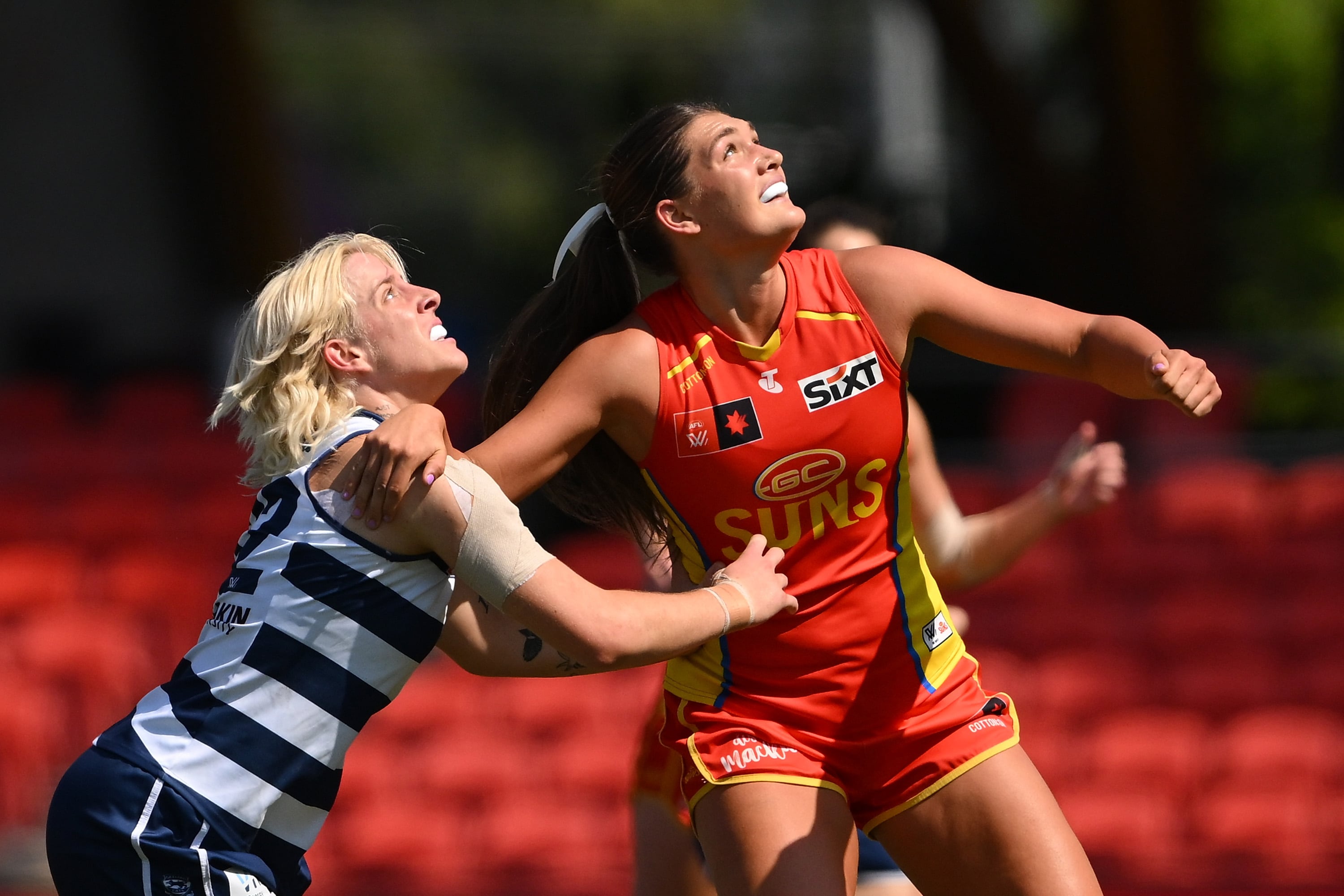 Cats stun SUNS in convincing win