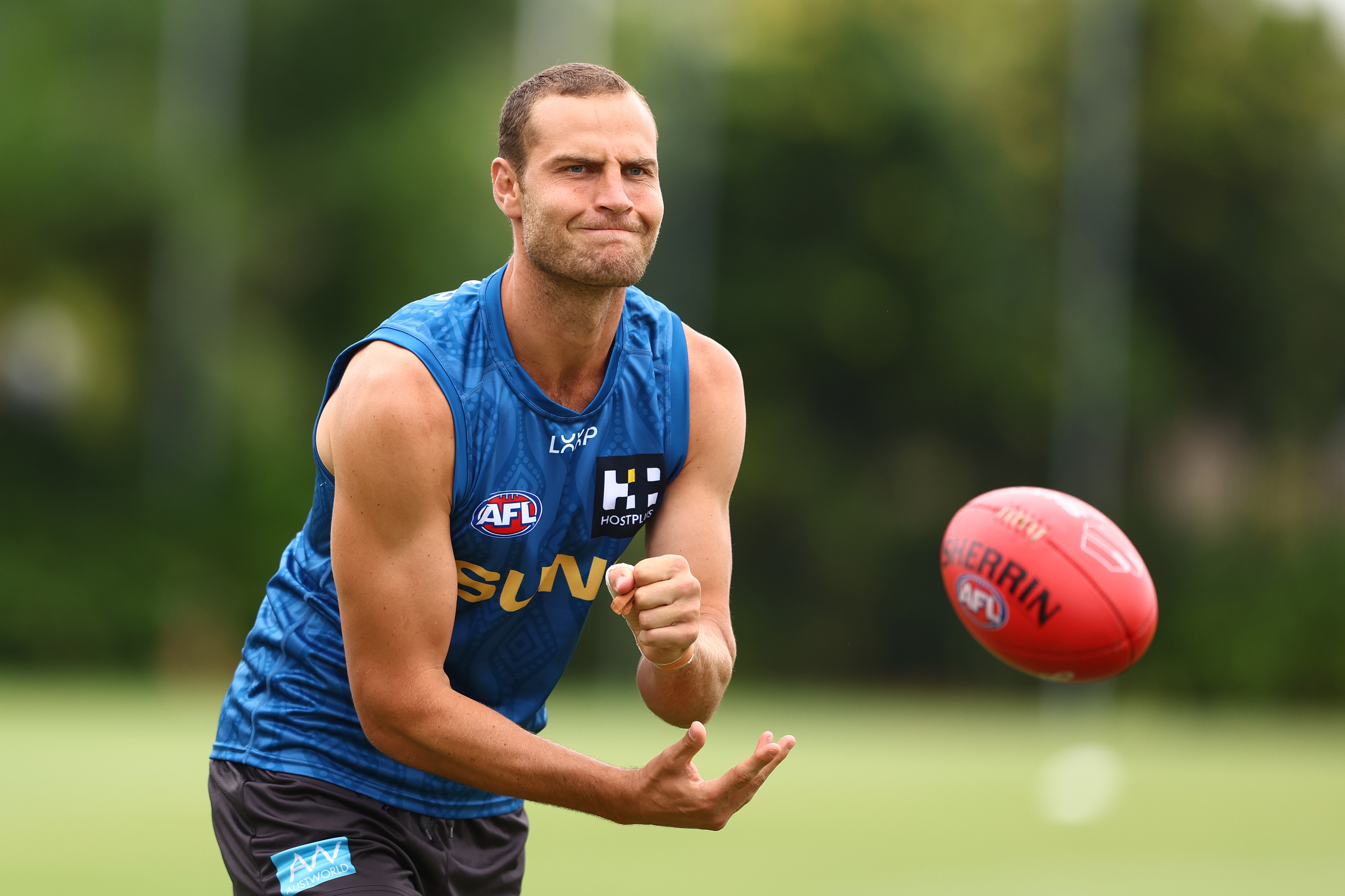 SUNS ruck stocks soaring