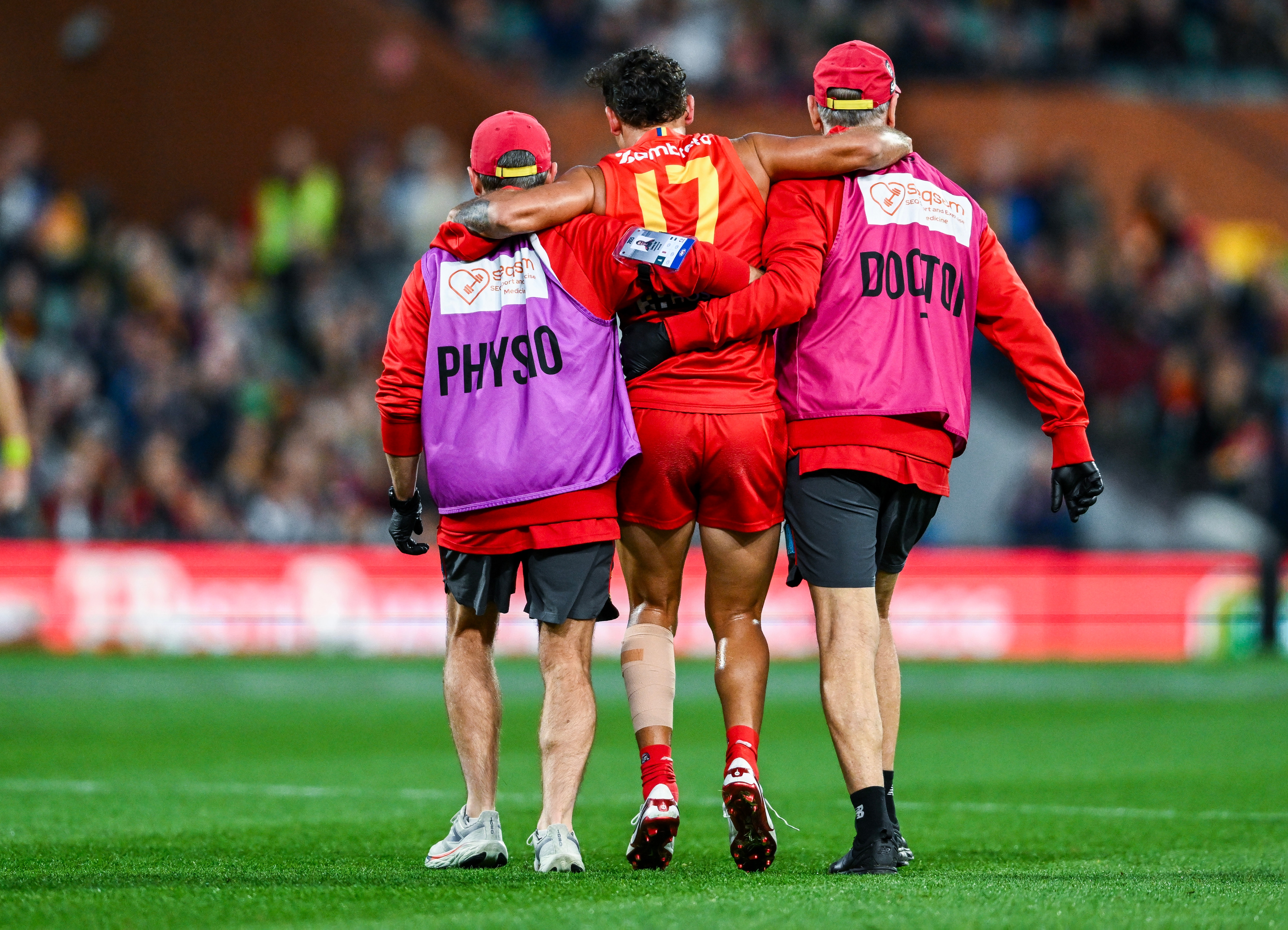 Qscan Injury Update: Round 20