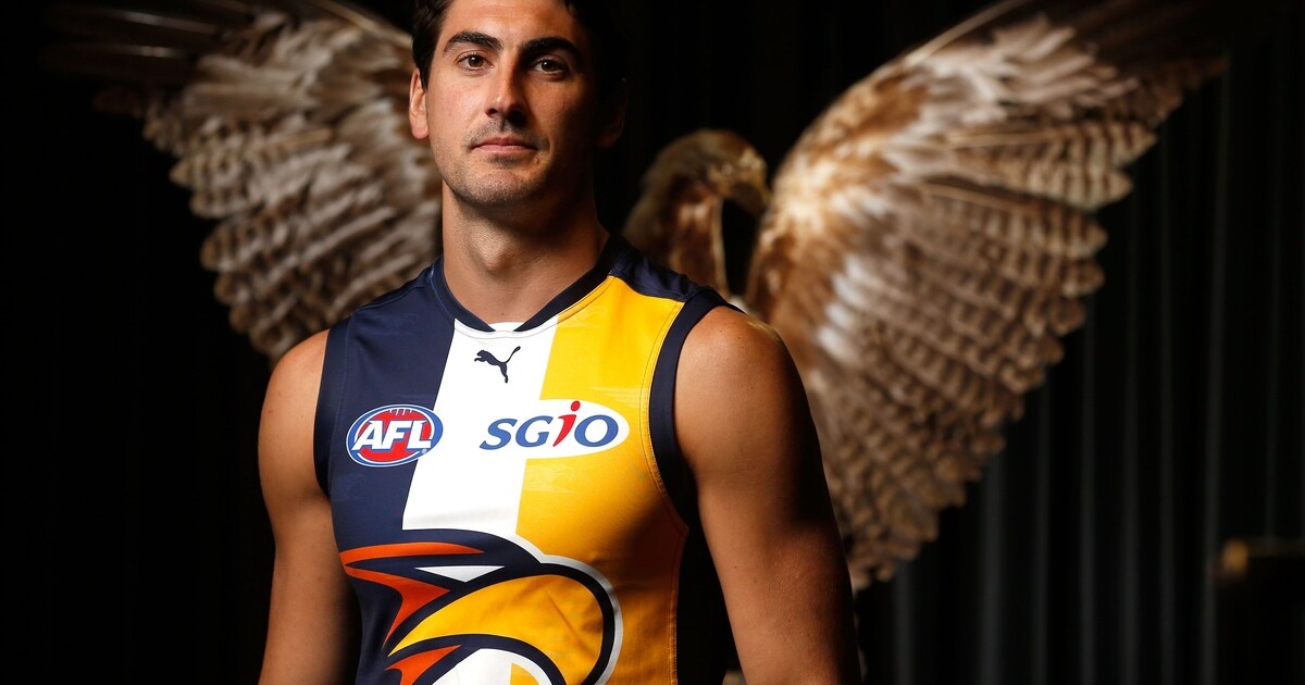 Gold Coast Trade Tracker Review