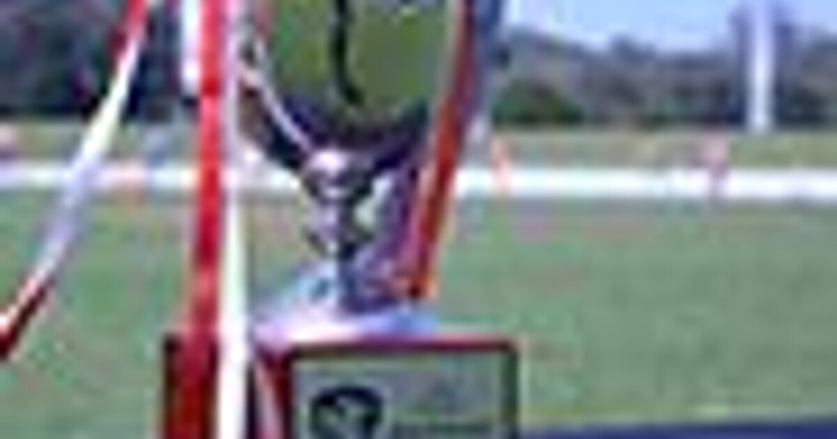 2017 NEAFL Fixture Announcement