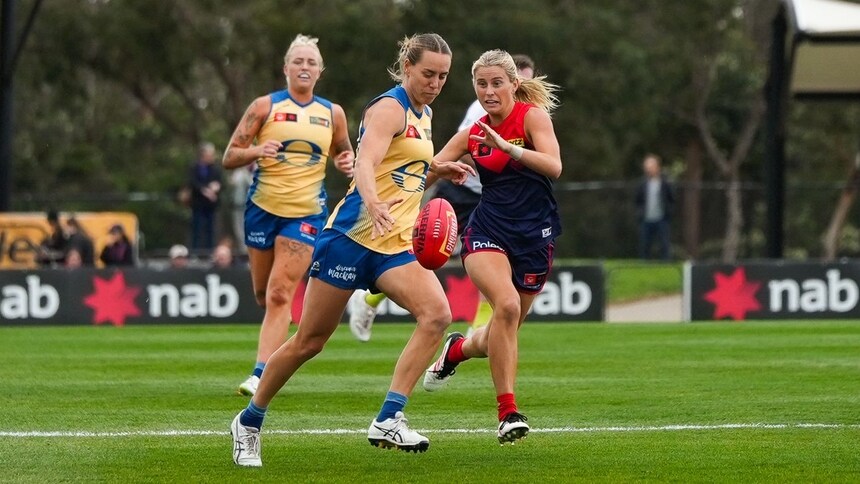 Official AFL Website of the Gold Coast SUNS